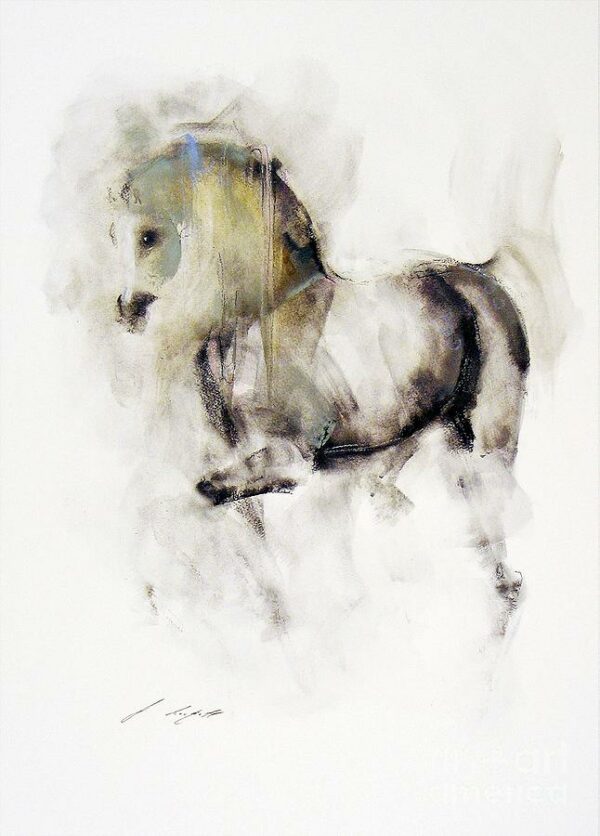 Home - Art-Equus - Janette Lockett equestrian artist