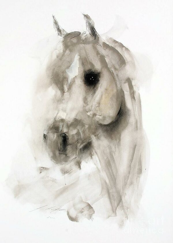 Home - Art-Equus - Janette Lockett equestrian artist