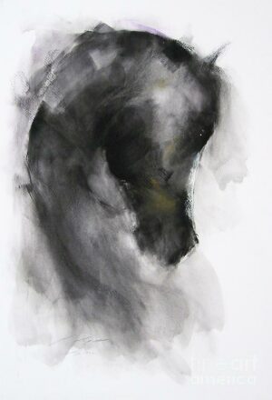 Home - Art-Equus - Janette Lockett equestrian artist