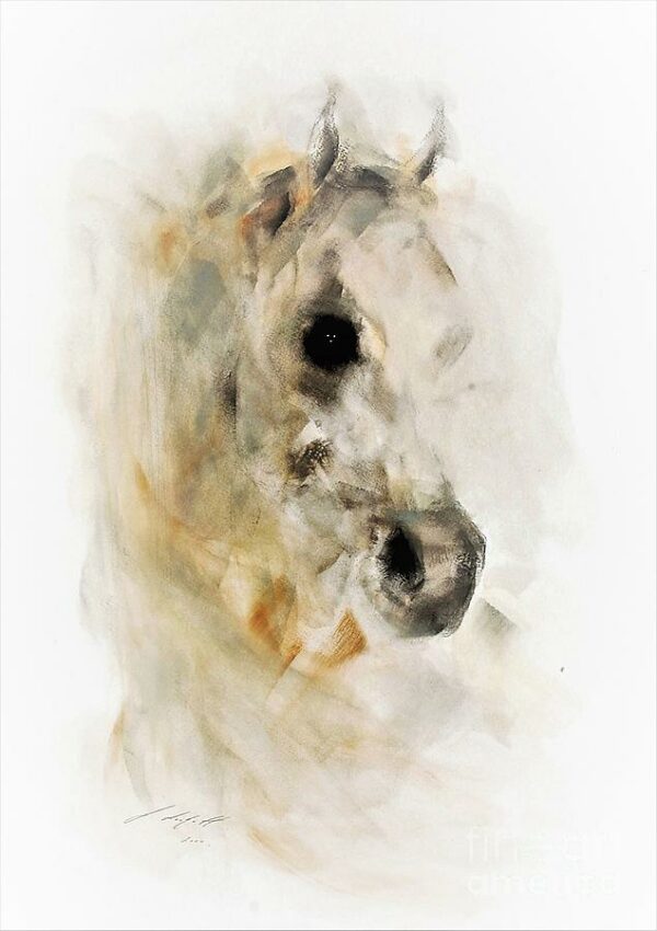 Home - Art-Equus - Janette Lockett equestrian artist