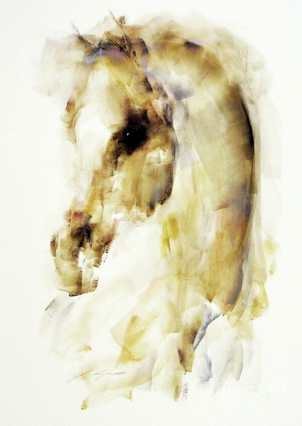 Home - Art-Equus - Janette Lockett equestrian artist
