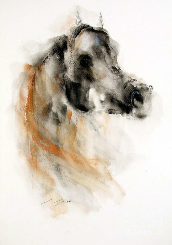 Home - Art-Equus - Janette Lockett equestrian artist